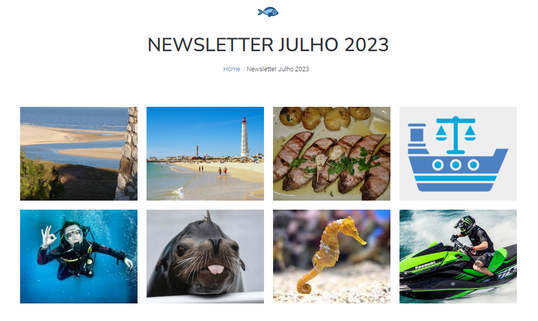 MAR RENT – MAR RENT – ALUGUER BARCOS E JET-SKI